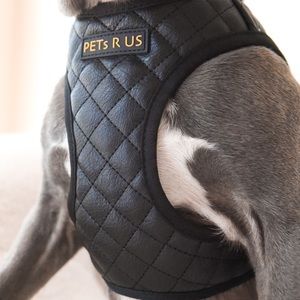 PETs R US | Dog | Pets R Us Black Gold Step In Vest Dog Harness Quilted ...